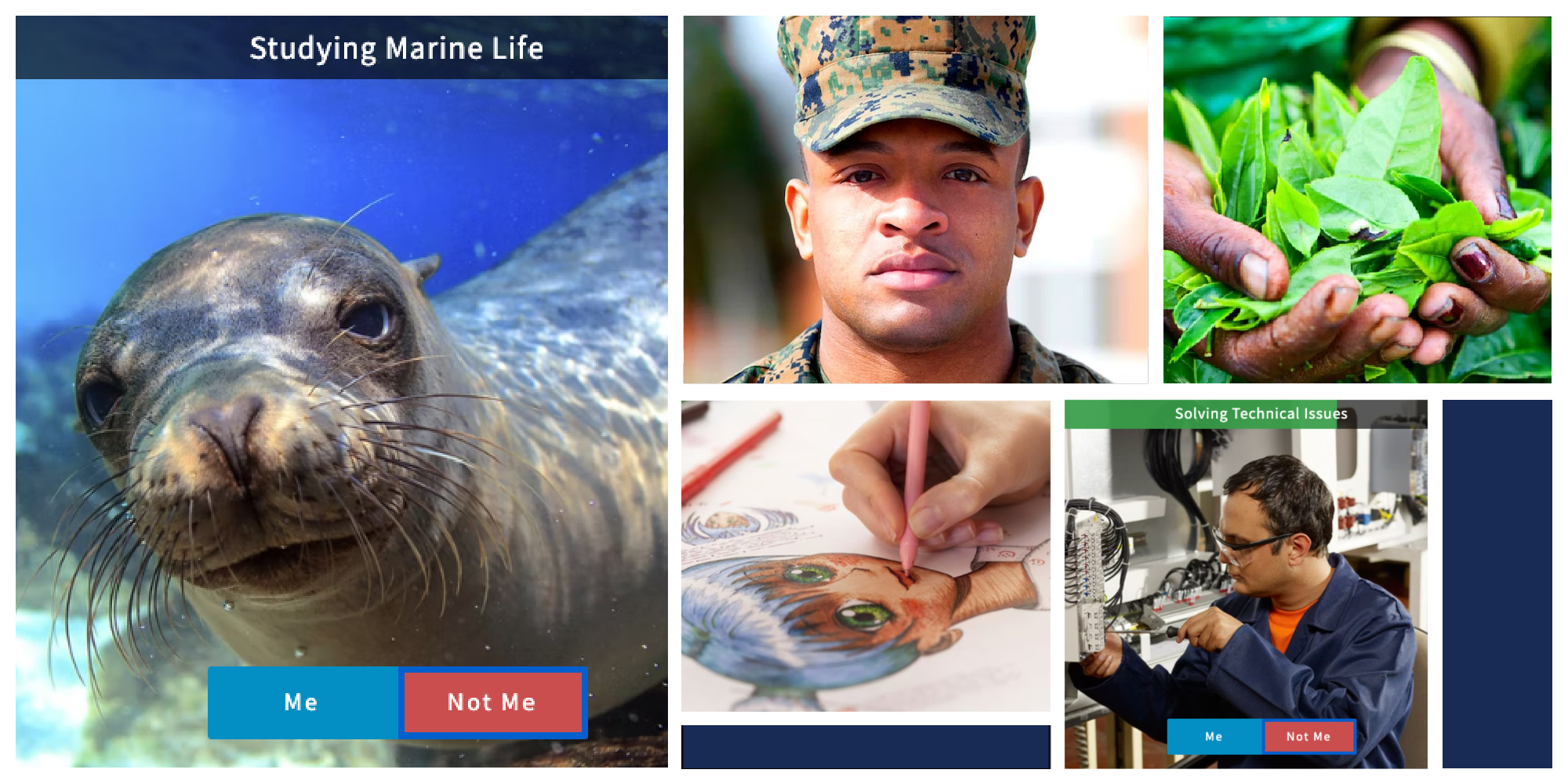 Want To Find Your Path? Take The Quiz | SkillPointe.com